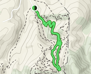 Silvan Forest Alpha Track, Nelson-Tasman, New Zealand - 15 Reviews, Map ...
