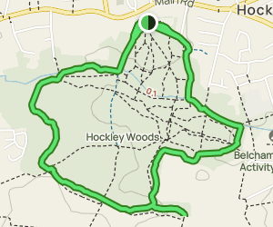 Hockley Woods Clockwise Circular: 56 Fotos - Essex, England | AllTrails