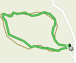 Cypress Swamp Trail: 207 Reviews, Map - Florida | AllTrails