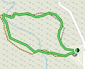 Cypress Swamp Trail, Florida - 206 Reviews, Map | AllTrails