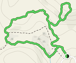 Eleanor Mann Park Loop: 4 Fotos - British Columbia, Canada | AllTrails