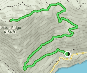 Boston Ridge via Comox Logging Road: 8 Reviews, Map - British Columbia ...