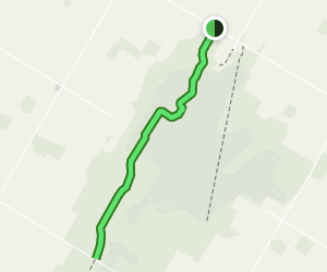 Ellice Swamp Trail: 17 Reviews, Map - Ontario, Canada | AllTrails