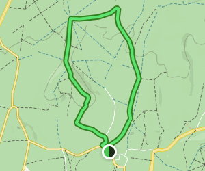 Slindon Wood and Gumber Circular: 133 Reviews, Map - West Sussex ...