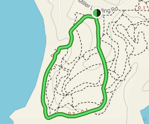 Phipps Park West Loop: 176 Reviews, Map - Florida | AllTrails