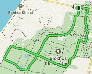 Blokhus Klitplantage - Sort Rute: 16 Fotos - Region Nordjylland ...