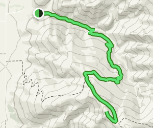 Grandview Mountain Track: 53 Reviews, Map - Otago, New Zealand | AllTrails