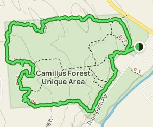 Camillus Unique Area Trail 6, 5, 4, and 3 Loop - New York | AllTrails