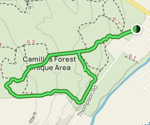 Camillus Unique Area 1, 6, and 5 Trail Loop: 64 Reviews, Map - New York ...