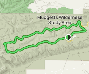 Carlsbad Caverns Desert Loop Road: 25 Reviews, Map - New Mexico | AllTrails