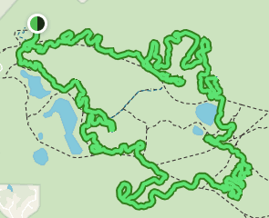 Starkey Park Mountain Bike Trails, Florida - 245 Reviews, Map | AllTrails