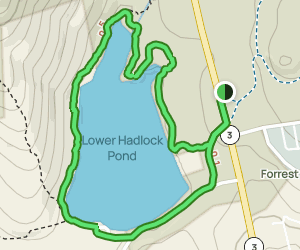 Lower Hadlock Pond Loop Trail: 414 Reviews, Map - Maine | AllTrails