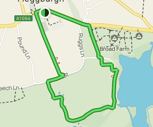 Fleggburgh Circular: 12 Reviews, Map - Norfolk, England | AllTrails