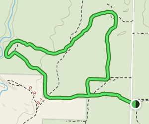 Betsie River Pathway West Loop: 90 Reviews, Map - Michigan | AllTrails