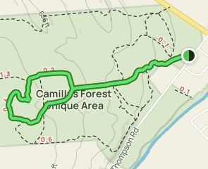 Camillus Unique Area 1 and 5 Trail, New York - 47 Reviews, Map | AllTrails