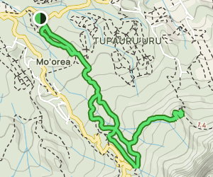 Trois Pinus via Tiki Park: 79 Reviews, Map - Moorea, French Polynesia ...