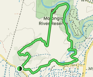 Bluetts Block, Molonglo River and Denman Prospect Loop: 79 foto's ...