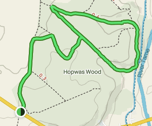 Hopwas Wood: 13 Fotos - Staffordshire, England | AllTrails