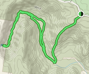 Yabba Falls Hike: 7 Reviews, Map - Queensland, Australia | AllTrails
