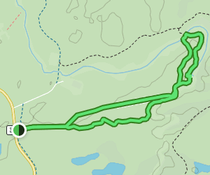 Pine Point Trail: 1112 Reviews, Map - Manitoba, Canada | AllTrails