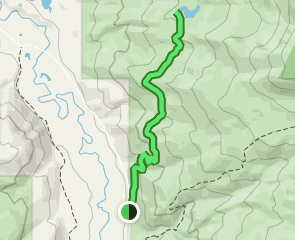 Peltier Lake Trail, Colorado - 19 Reviews, Map | AllTrails