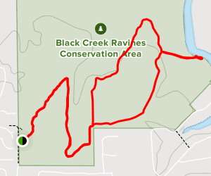 Black Creek Ravines Red Loop - Florida | AllTrails