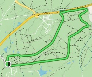 Liss Forest and Woolmer Forest Circular: 17 Reviews, Map - Hampshire ...