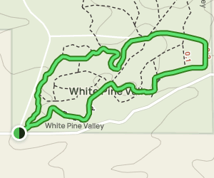 White Pine Valley Red Loop: 44 Reviews, Map - Michigan | AllTrails