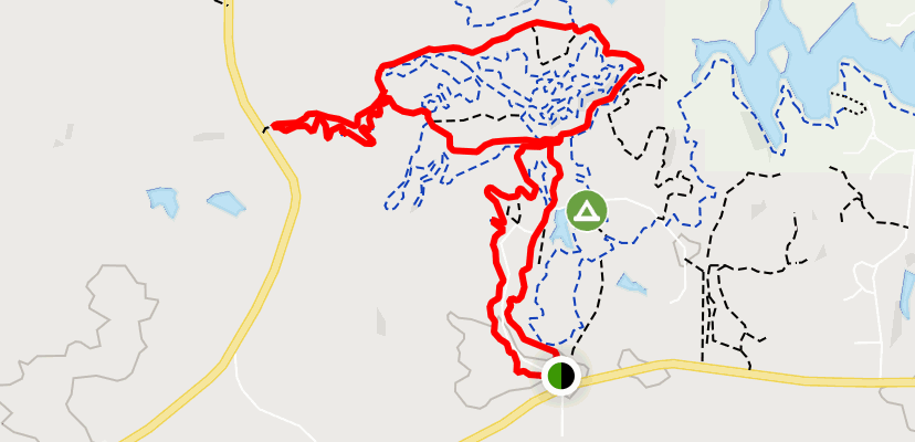 Are Dogs Allowed At Dauset Trails