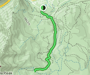 Miners Creek Road : 105 Reviews, Map - Colorado | AllTrails