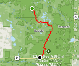 North Country Trail: Freesoil Trailhead to Timber Creek Campground ...