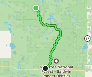 AllTrails | North Country Trail: Freesoil Trailhead to Timber Creek ...