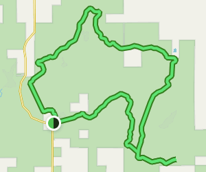 Tin Cup Spring ORV Trail: 24 Reviews, Map - Michigan | AllTrails