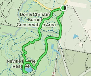 Old Quarry Circuit: 35 Reviews, Map - Queensland, Australia | AllTrails