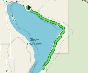 Show Low Lake Trail: 187 Reviews, Map - Arizona | AllTrails