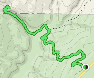Walls of Jericho Trail: 2030 Reviews, Map - Alabama | AllTrails