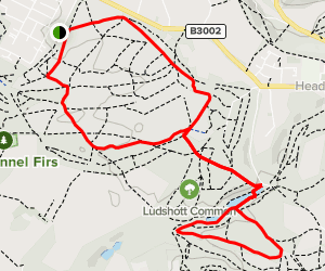 Ludshott Common and Waggoner's Wells Circular - Surrey, England | AllTrails