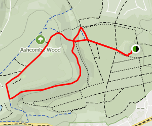Denbies Vineyard and Ashcombe Wood Circular - Surrey, England | AllTrails