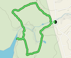 Red Shale Loop Trail, Pennsylvania - 34 Reviews, Map | AllTrails