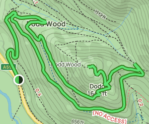 Dodd Wood and Summit Circular - Cumbria, England | AllTrails