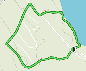 Mount Blue Campground Trails: 1 Reviews, Map - Maine | AllTrails