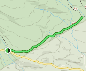 Little Jackson Connector Trail: 8 Reviews, Map - Maine | AllTrails