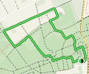 Opglabbeek - Joekelbos: 12 Reviews, Map - Limburg, Belgium | AllTrails