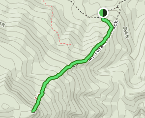 Mount Tutamoe Track: 7 Reviews, Map - Northland, New Zealand | AllTrails