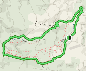 Pirongia MTB Park Loop: 1 Reviews, Map - Waikato, New Zealand | AllTrails