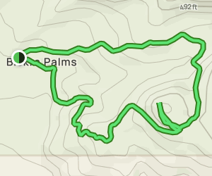 Indio Hills Palms Park: 10 Reviews, Map - California | AllTrails