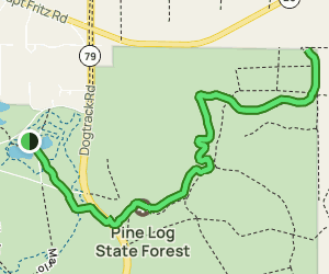Florida Trail: Pine Log State Forest: 72 fotos - Florida | AllTrails