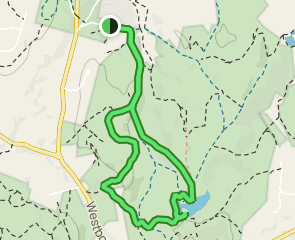 Whistling Cave and Nuthatch Loop, Massachusetts - 367 Reviews, Map ...