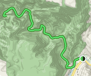 West Fork of Oak Creek Trail #108: 10348 Reviews, Map - Arizona | AllTrails