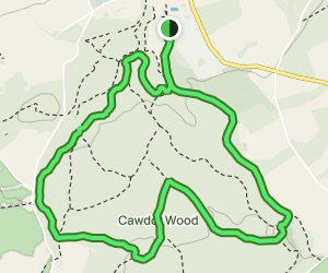 Cawdor Wood Circular: 25 Reviews, Map - Highlands, Scotland | AllTrails